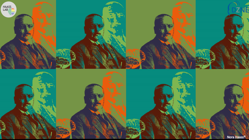 Lernplattform der Medizinischen Fakultät • LMU München : Search results